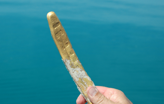 Gold Bar Found - Mel Fisher's Treasures